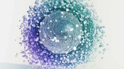 DSE: Tame Dark Data with Discovery and Classification