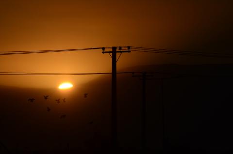 Tapping Telegram Bots | Forcepoint